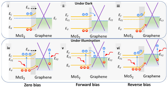 Integrated Graphene Heterostructures in Optical Sensing