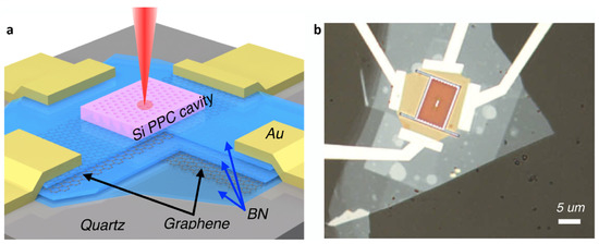 Integrated Graphene Heterostructures in Optical Sensing