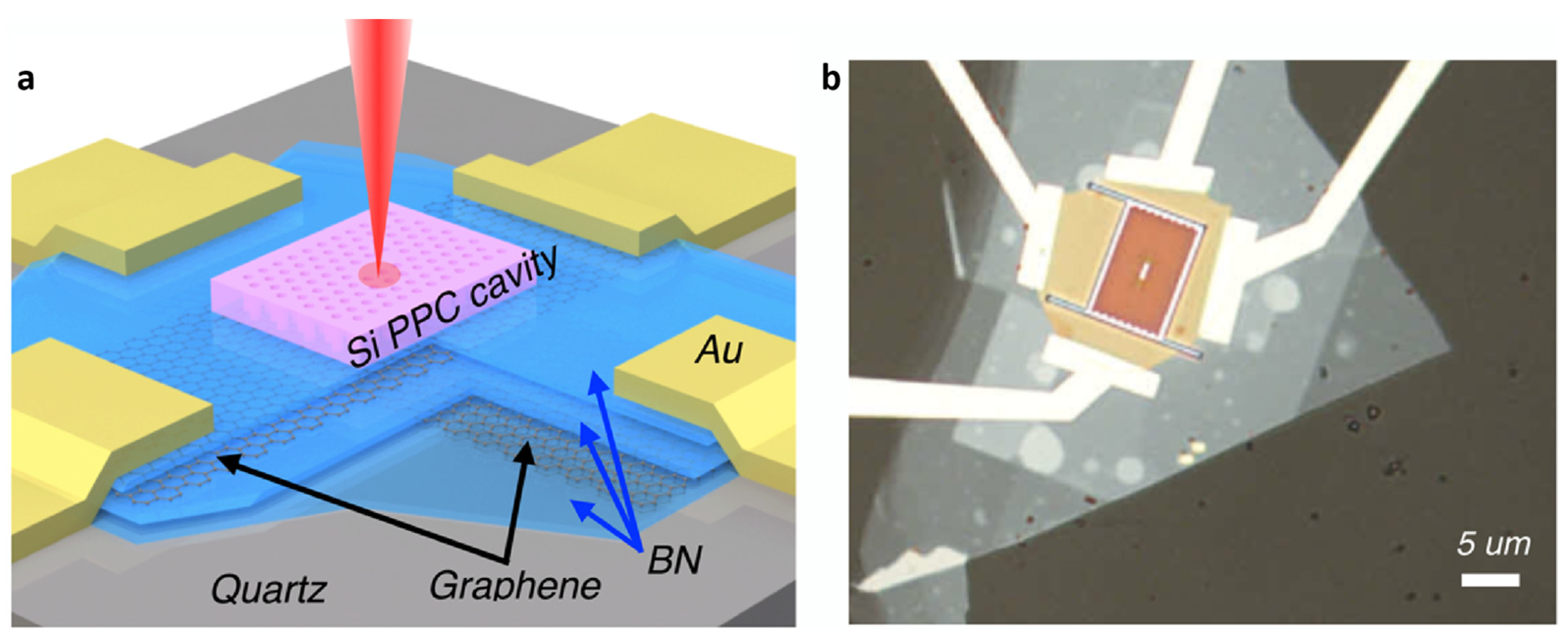 Integrated Graphene Heterostructures in Optical Sensing