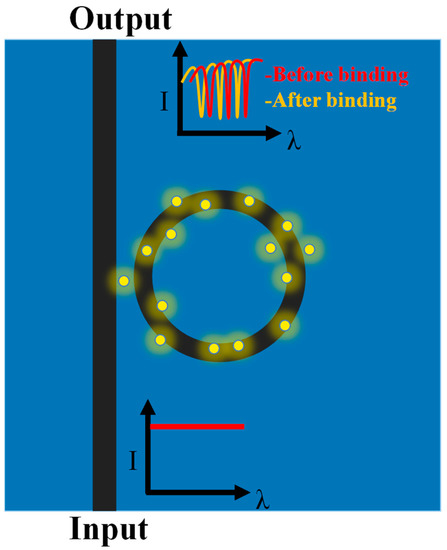 A Review of Photonic Sensors Based on Ring Resonator Structures: Three ...