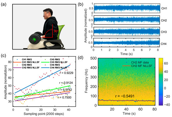 A Wireless, High-Quality, Soft and Portable Wrist-Worn System for sEMG ...
