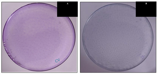 Synthesis of Nano Pigments Using Clay Minerals and Organic Dyes and ...