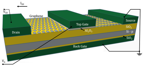 Field-Effect Transistors Based on Single-Layer Graphene and Graphene-Derived Materials