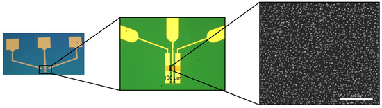 Field-Effect Transistors Based on Single-Layer Graphene and Graphene ...