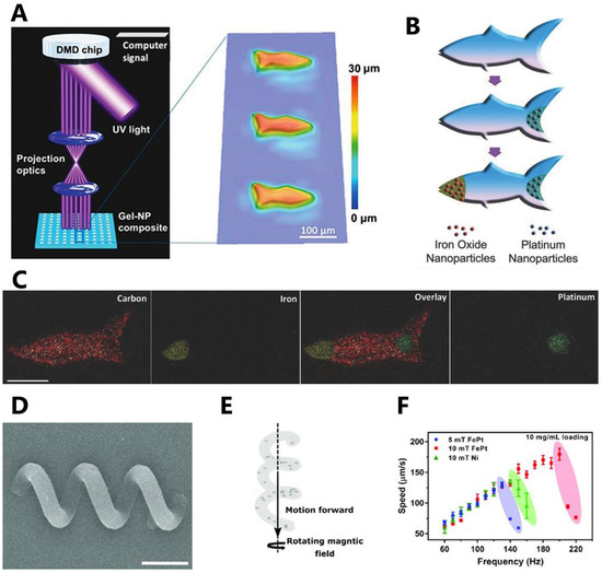 3D-Printed Microrobots: Translational Challenges
