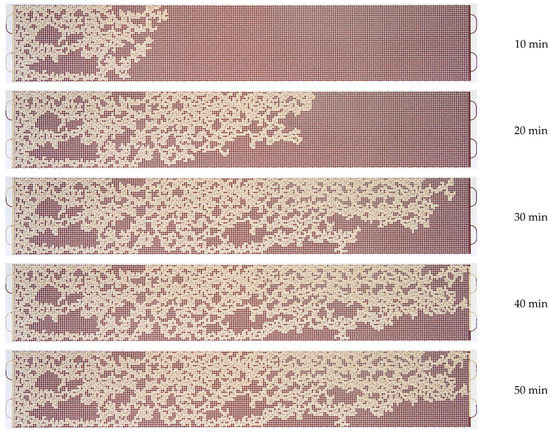 Microfluidic Study of Enhanced Oil Recovery during Flooding with ...