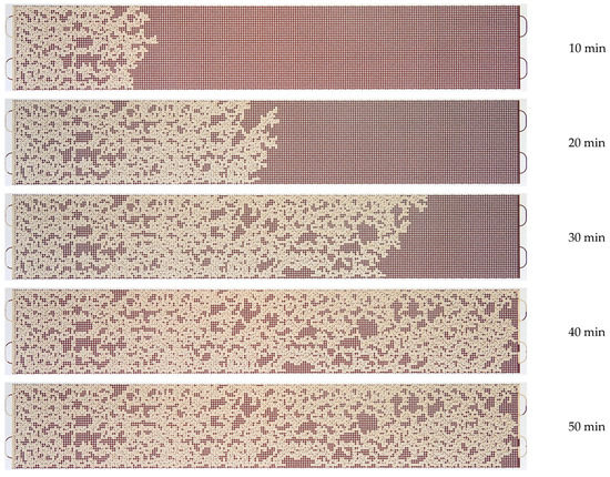 Microfluidic Study of Enhanced Oil Recovery during Flooding with ...