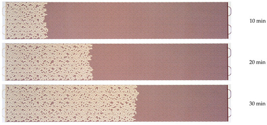 Microfluidic Study of Enhanced Oil Recovery during Flooding with ...