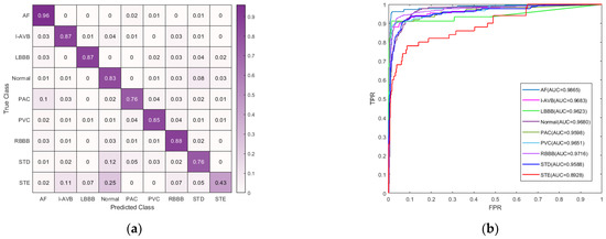 An Arrhythmia Classification Model Based on Vision Transformer with Deformable Attention