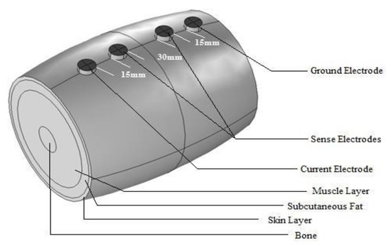 Comparison of Circular and Rectangular-Shaped Electrodes for Electrical ...