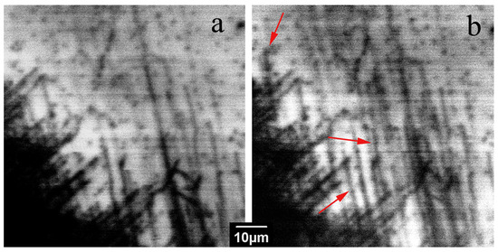 An Experimental Study of Dislocation Dynamics in GaN