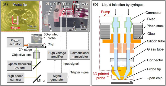 Integration of Microfluidic Chip and Probe with a Dual Pump System for ...