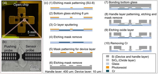 Integration of Microfluidic Chip and Probe with a Dual Pump System for ...