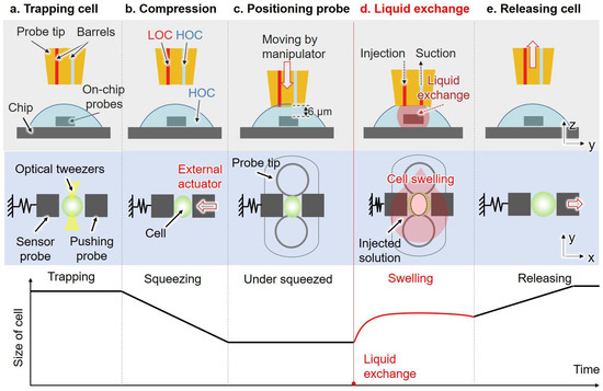 Integration of Microfluidic Chip and Probe with a Dual Pump System for ...