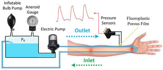 Micromachines | Free Full-Text | A Hemodynamic Pulse Wave Simulator ...