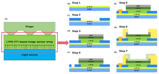 A Review of Fingerprint Sensors: Mechanism, Characteristics, and ...