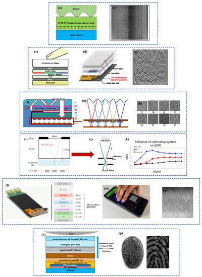 A Review of Fingerprint Sensors: Mechanism, Characteristics, and ...