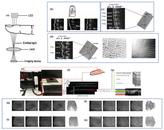 A Review of Fingerprint Sensors: Mechanism, Characteristics, and ...