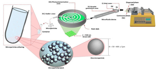 Micromachines | Free Full-Text | Generation of Photopolymerized ...