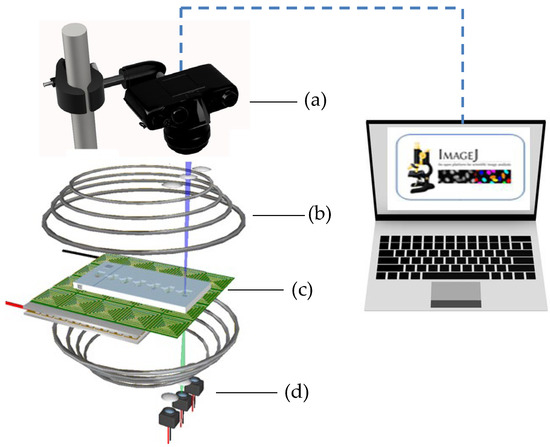 Magnetic Beads inside Droplets for Agitation and Splitting Manipulation ...