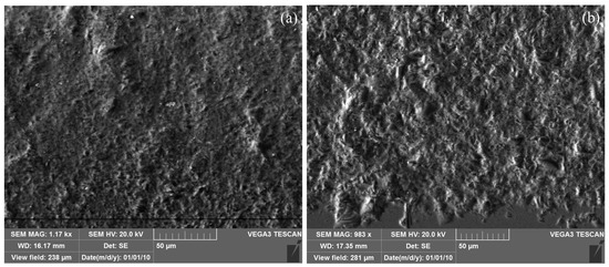 Design of a Template-Based Electrophoretically Assisted Micro ...