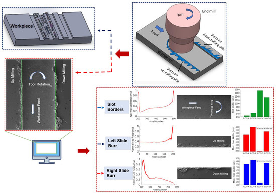 Image Processing Approach to Investigate the Correlation between ...