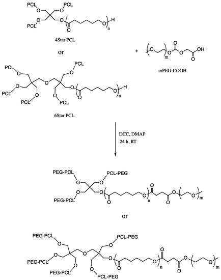 Synthesis and Characterization of Ciprofloxacin Loaded Star-Shaped ...
