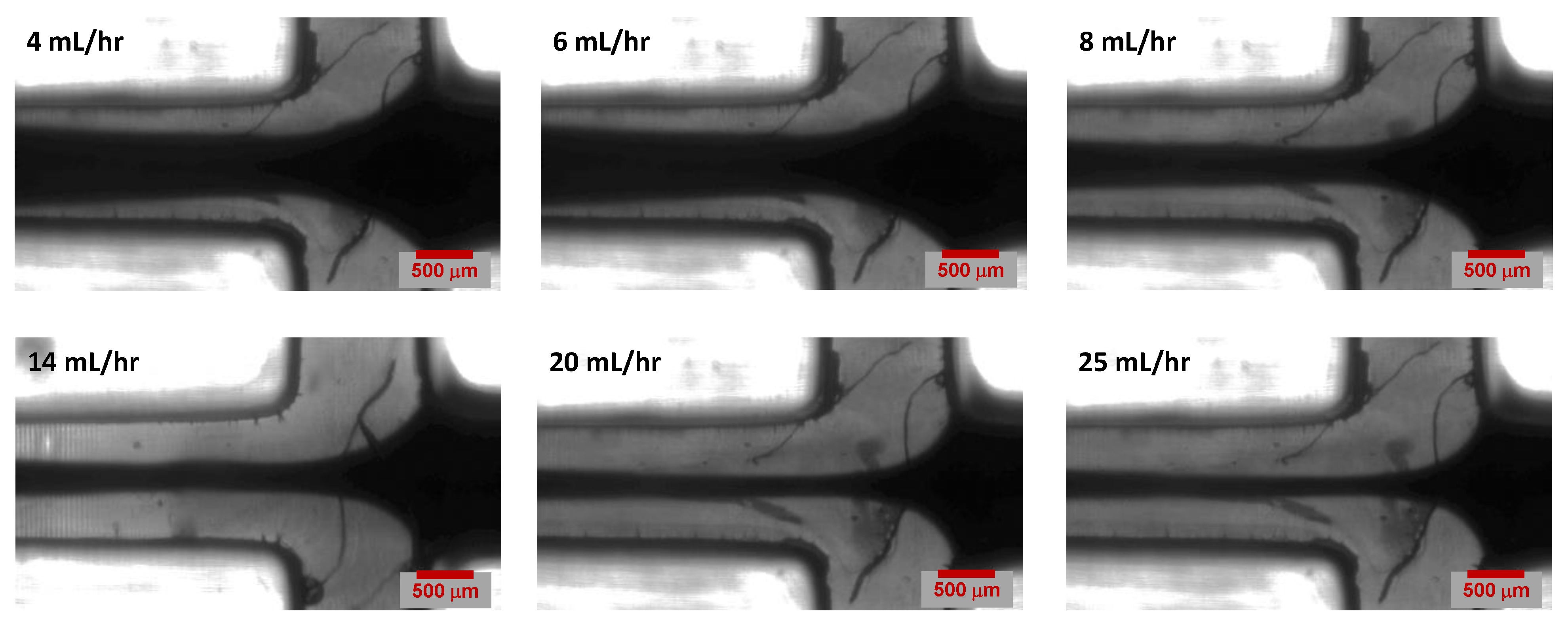 Processes for the 3D Printing of Hydrodynamic Flow-Focusing Devices