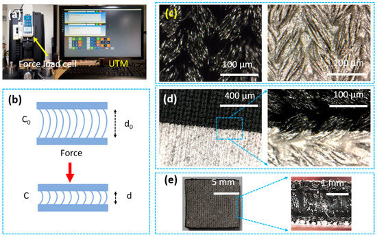 Flexible Pressure Sensors and Machine Learning Algorithms for Human ...