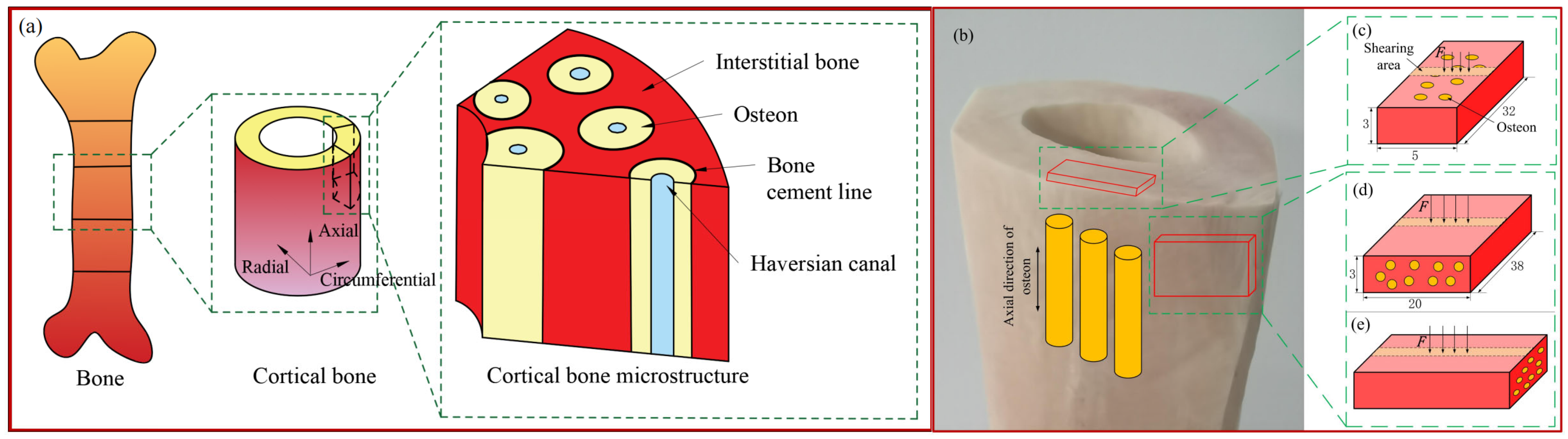 Cutting-Force Modeling Study on Vibration-Assisted Micro-Milling of ...