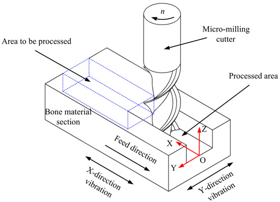 Cutting-Force Modeling Study on Vibration-Assisted Micro-Milling of Bone Materials