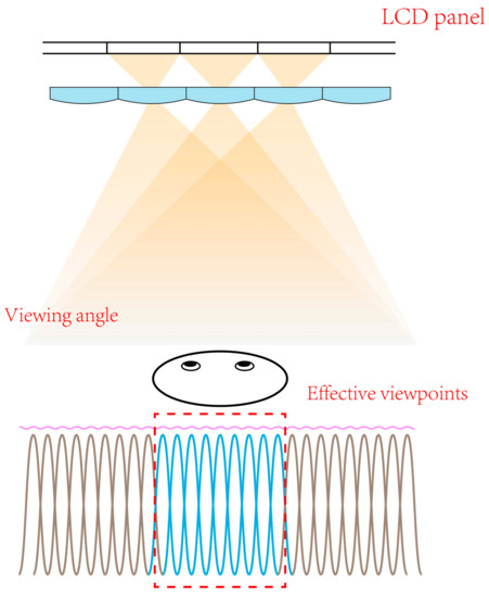 Directional and Eye-Tracking Light Field Display with Efficient Rendering and Illumination