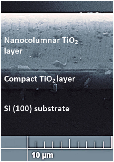 Micromachines | Free Full-Text | Growth of Nanocolumnar TiO2 Bilayer by ...