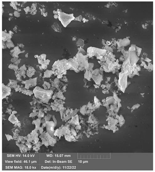 Formation of Paramagnetic Defects in the Synthesis of Silicon Carbide