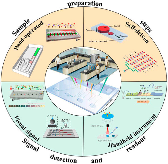 Microfluidic Devices for Heavy Metal Ions Detection: A Review