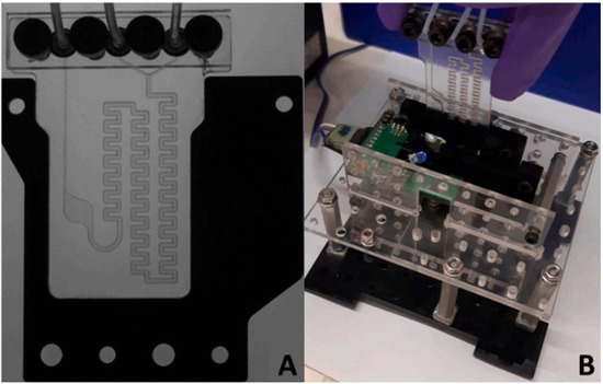 Microfluidic Devices for Heavy Metal Ions Detection: A Review