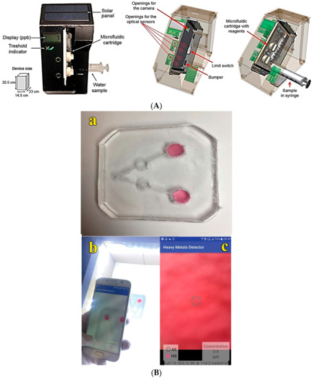 Microfluidic Devices for Heavy Metal Ions Detection: A Review