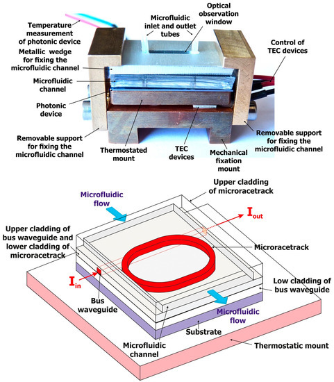 Microfluidic Devices for Heavy Metal Ions Detection: A Review