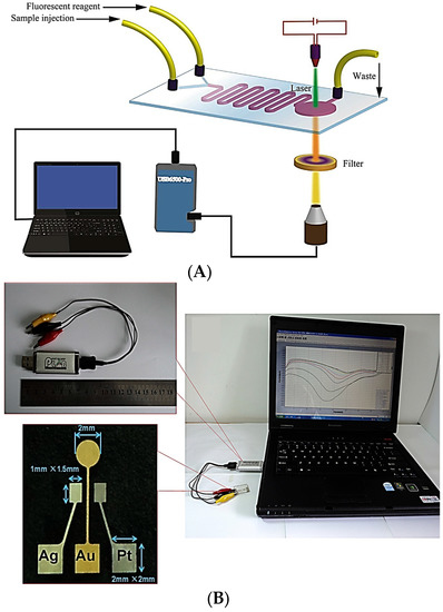 Microfluidic Devices for Heavy Metal Ions Detection: A Review
