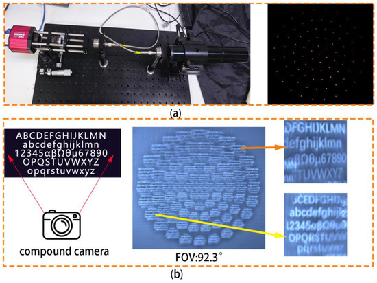 Double-Glued Multi-Focal Bionic Compound Eye Camera