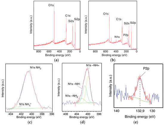 Silicon Carbide-Based DNA Sensing Technologies