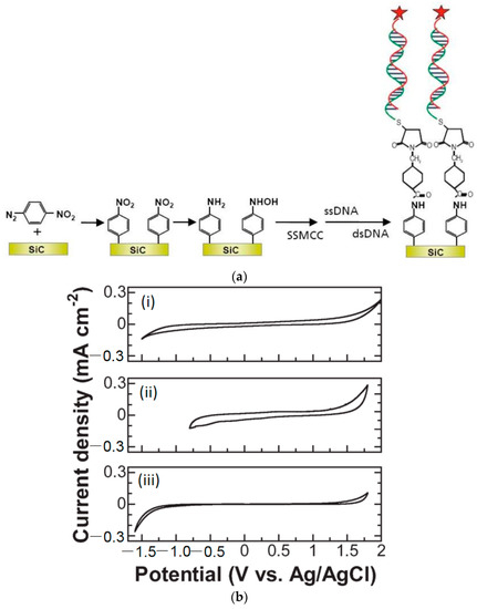 Silicon Carbide-Based DNA Sensing Technologies