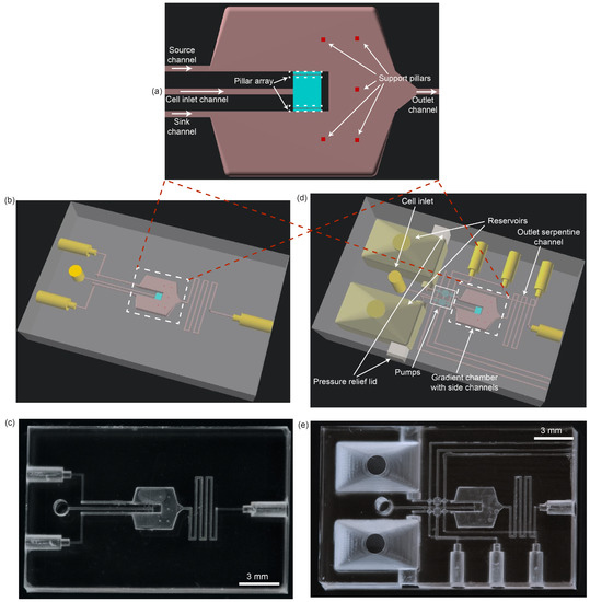 Biocompatible High-Resolution 3D-Printed Microfluidic Devices: Integrated Cell Chemotaxis ...