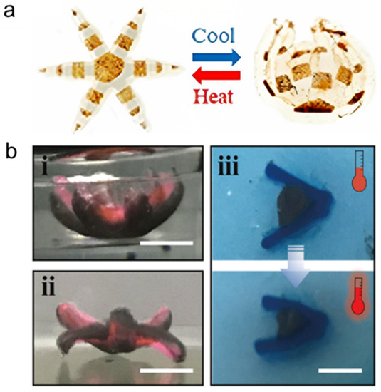 Four-Dimensional-Printed Microrobots and Their Applications: A Review