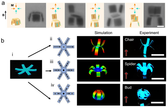 Four-Dimensional-Printed Microrobots and Their Applications: A Review