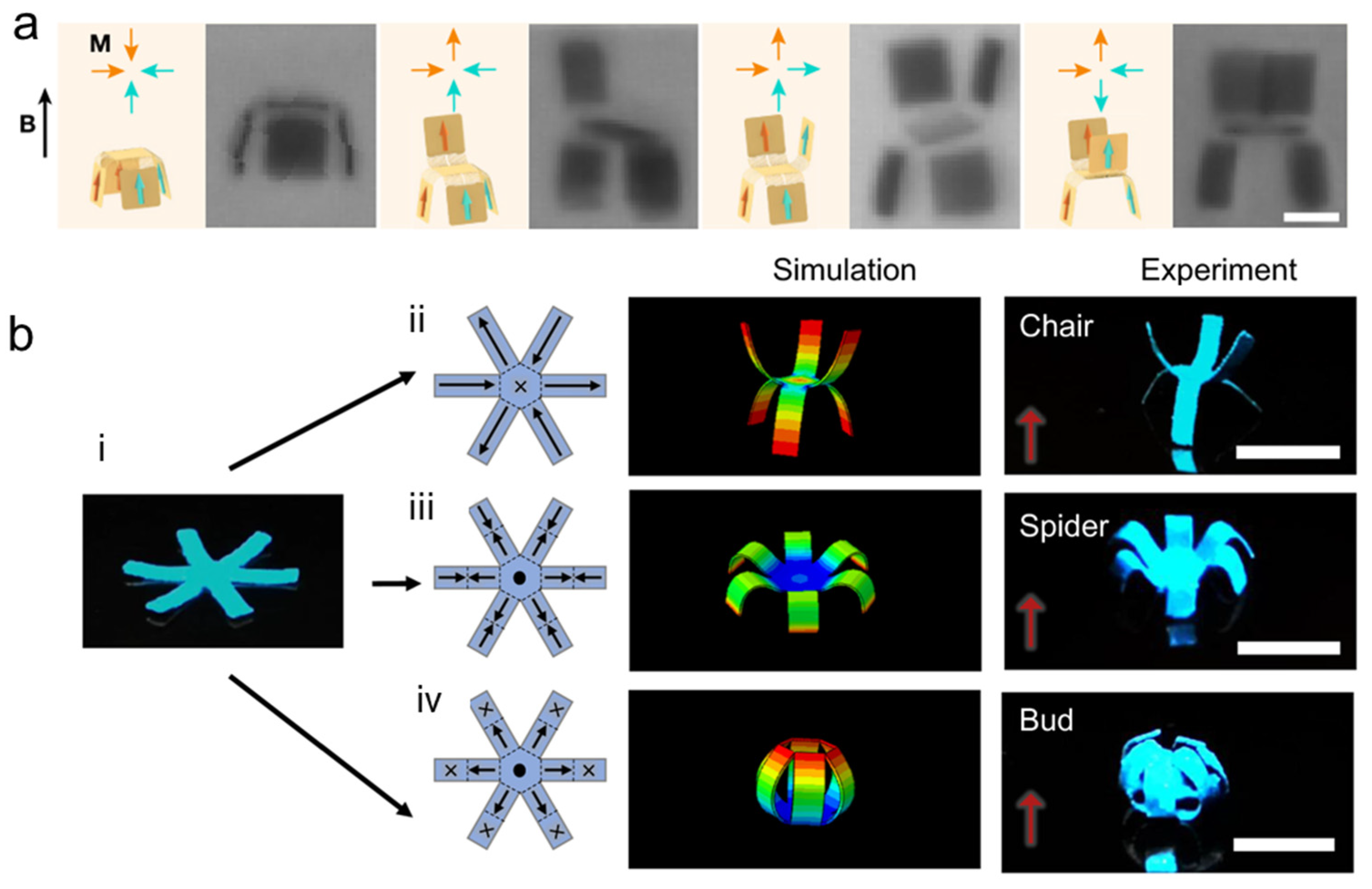 Four-Dimensional-Printed Microrobots and Their Applications: A Review