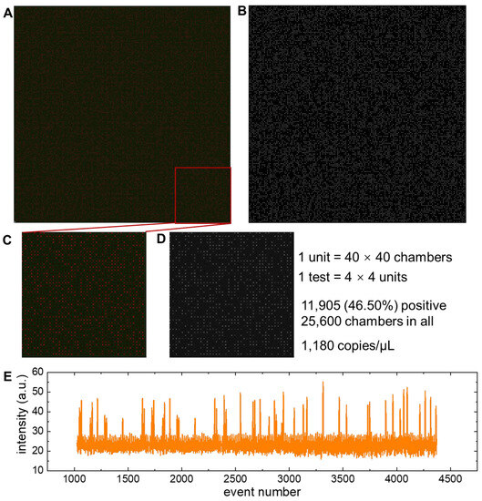 Virtual Multiplexing Chamber-Based Digital PCR for Camel Milk ...