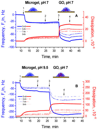 Adsorption of Preformed Microgel–Enzyme Complexes as a Novel Strategy ...