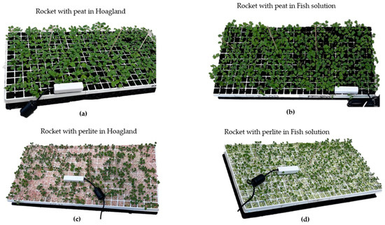 Micromachines | Free Full-Text | IoT-Based Agro-Toolbox for Soil ...