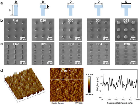 Femtosecond Laser Direct Writing of Gecko-Inspired Switchable Adhesion ...